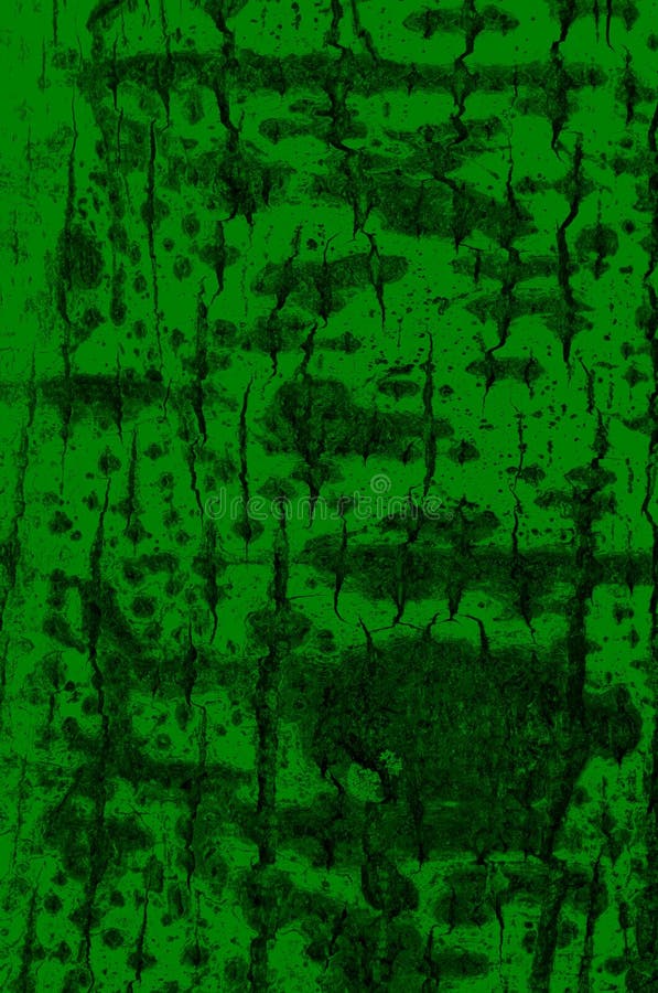 Aspen Tree Bark Green Texture Stock Photo - Image of brown, green ...