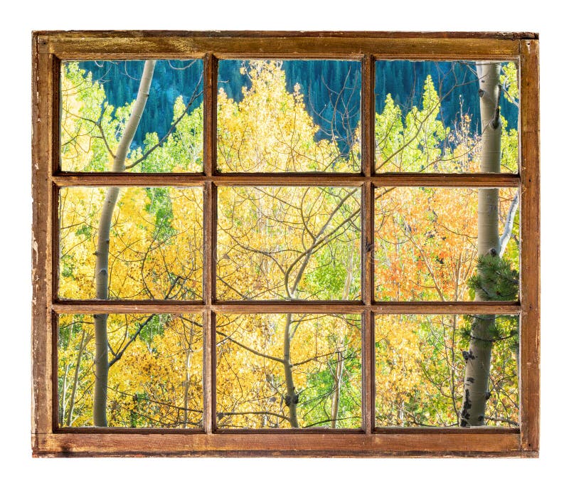 Aspen trees window view stock image. Image of aspen, cabin - 78390015