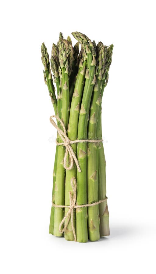 Asperge stock foto. Image of gezond, asperge, vegetariër - 101682560