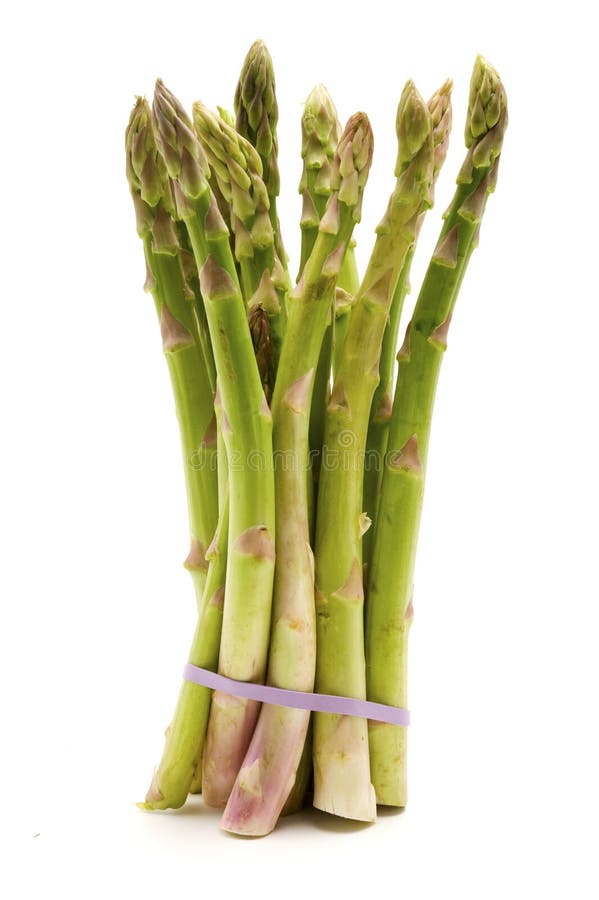 Asperge stock foto. Image of besnoeiing, plantaardig - 10280950