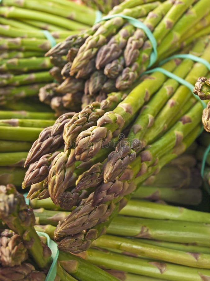 Asperge stock afbeelding. Image of voedsel, keuken, vitamine - 14133699