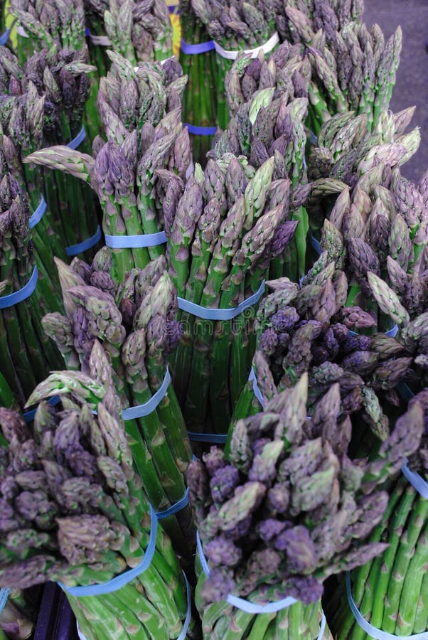 Asperge photo stock. Image du ressort, ingrédient, mangez - 19679508
