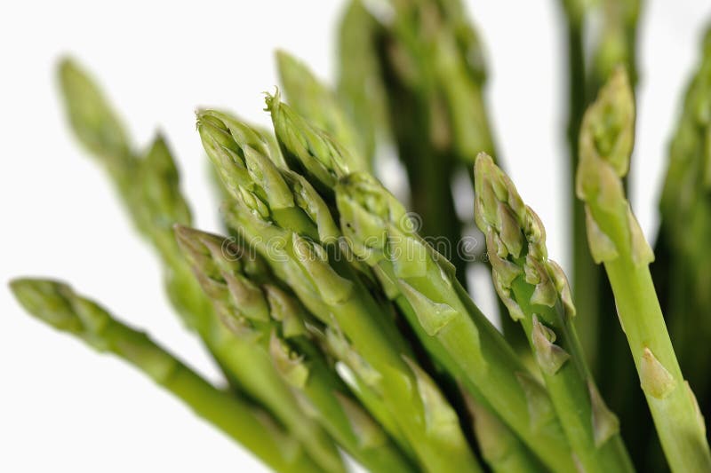 Asperge 3 stock afbeelding. Image of gastronomisch, gezond - 7187147
