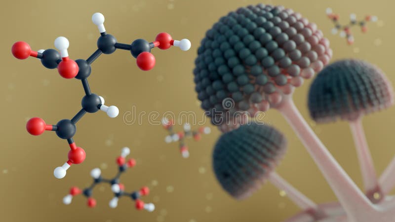 Aspergillus Niger and Scattered Molecule of Citric Acids Stock ...