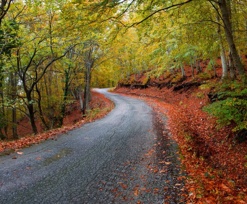 Autumn road stock image. Image of mountain, journey, leaf - 3392397