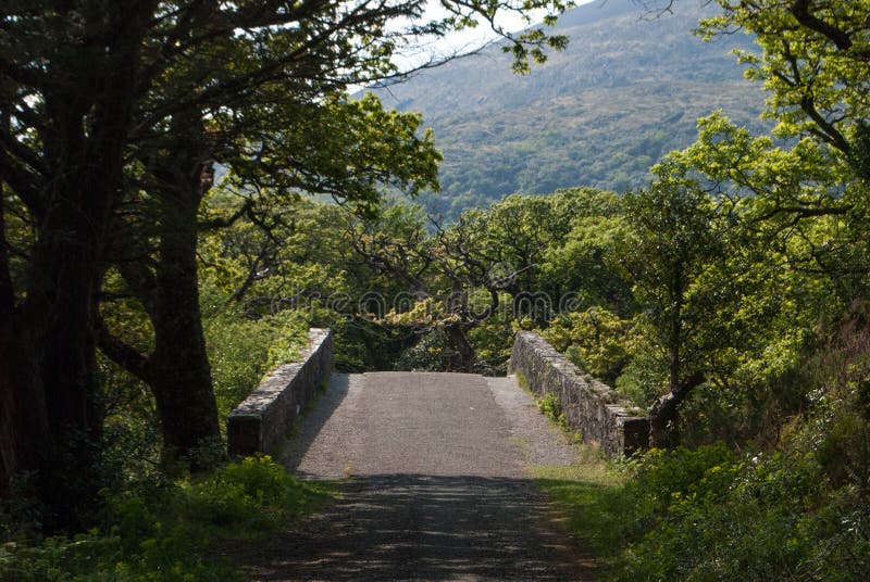 An Asphalt Bridge Bridge in between Trees Stock Photo - Image of lonely ...