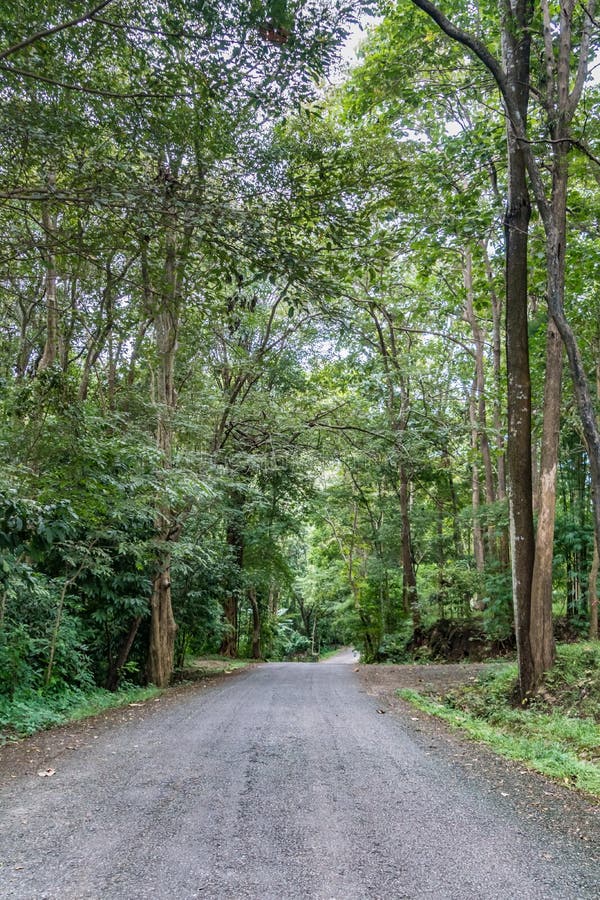 Asphalt country road stock image. Image of asphalt, country - 78897989