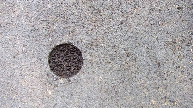 Asphalt Cutting for the Study of the Sample in the Laboratory. Core ...