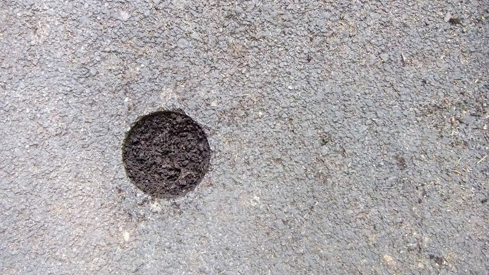 Asphalt Cutting for the Study of the Sample in the Laboratory. Core ...