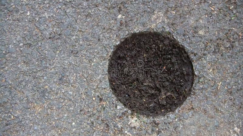 Asphalt Cutting for the Study of the Sample in the Laboratory. Core ...
