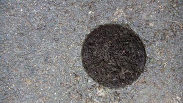 Asphalt Cutting for the Study of the Sample in the Laboratory. Core ...