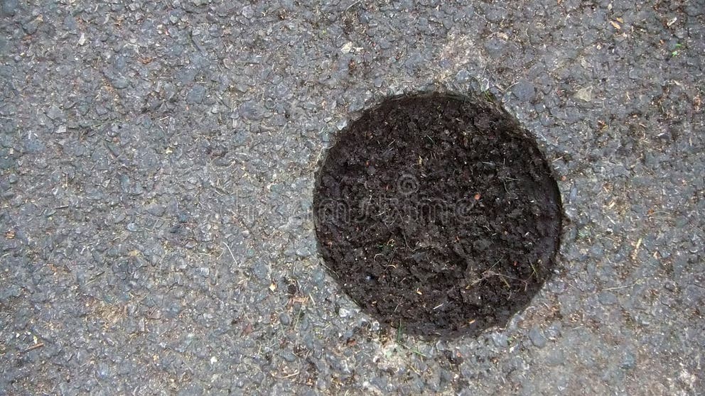 Asphalt Cutting for the Study of the Sample in the Laboratory. Core ...