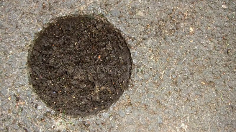 Asphalt Cutting for the Study of the Sample in the Laboratory. Core ...