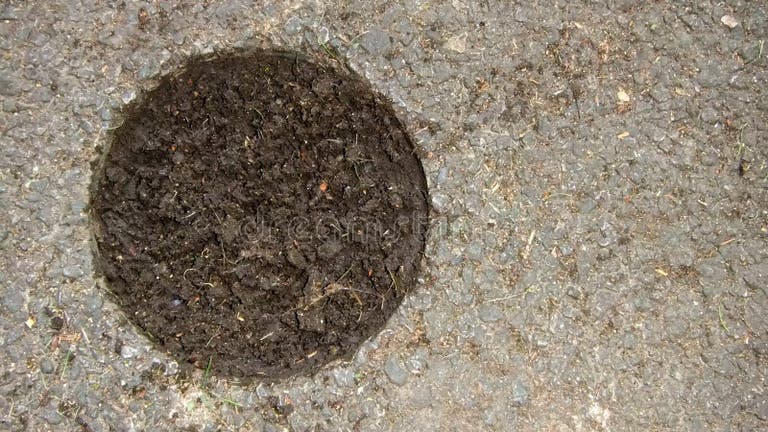 Asphalt Cutting for the Study of the Sample in the Laboratory. Core ...