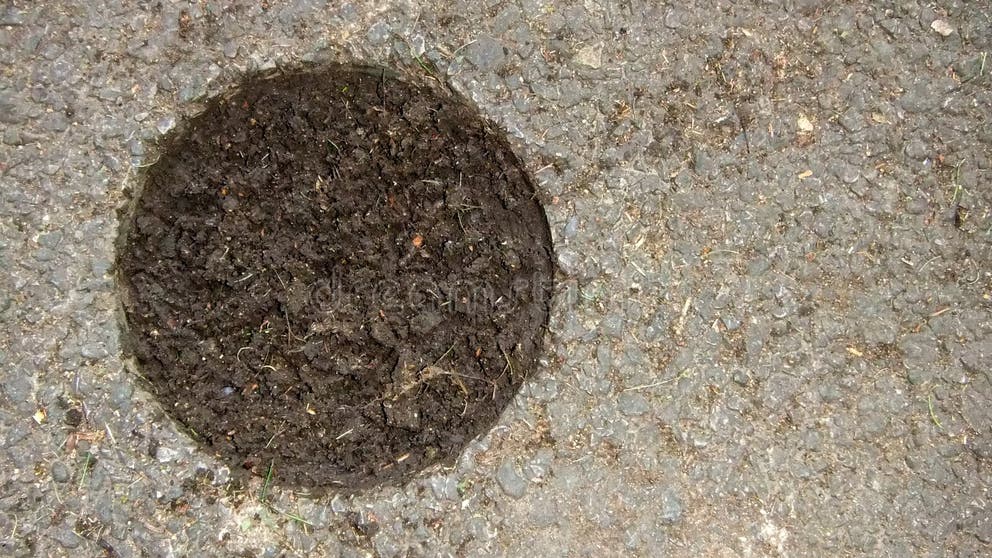 Asphalt Cutting for the Study of the Sample in the Laboratory. Core ...