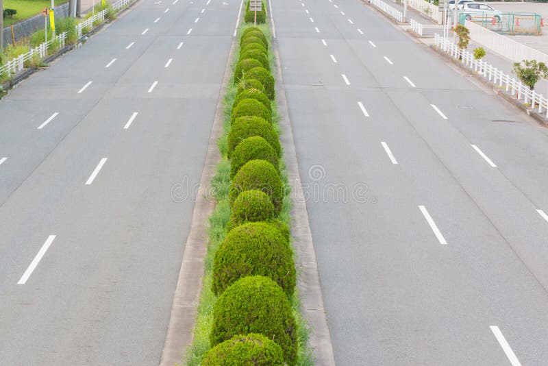 Asphalt Empty Road with Green Bush on Traffic Island. Stock Photo ...