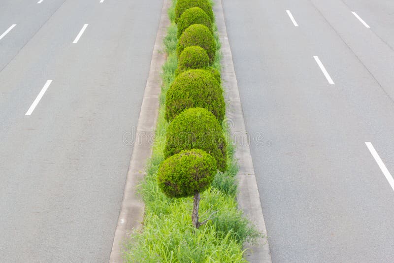 Asphalt Empty Road with Green Bush on Traffic Island. Stock Image ...