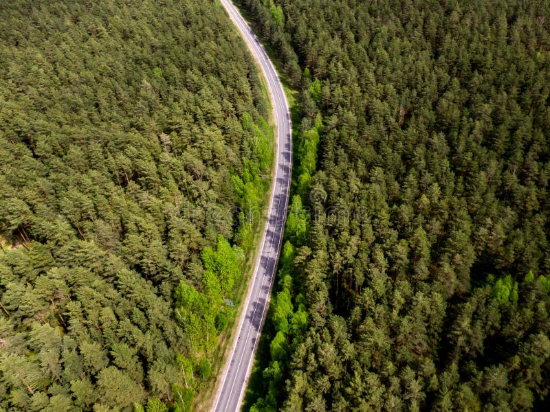 The Asphalt Forest Road. Aerial View. Stock Image - Image of sunlight ...