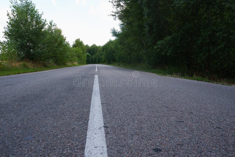 Asphalt Gray Road among Greenery Low Plan Stock Photo - Image of path ...