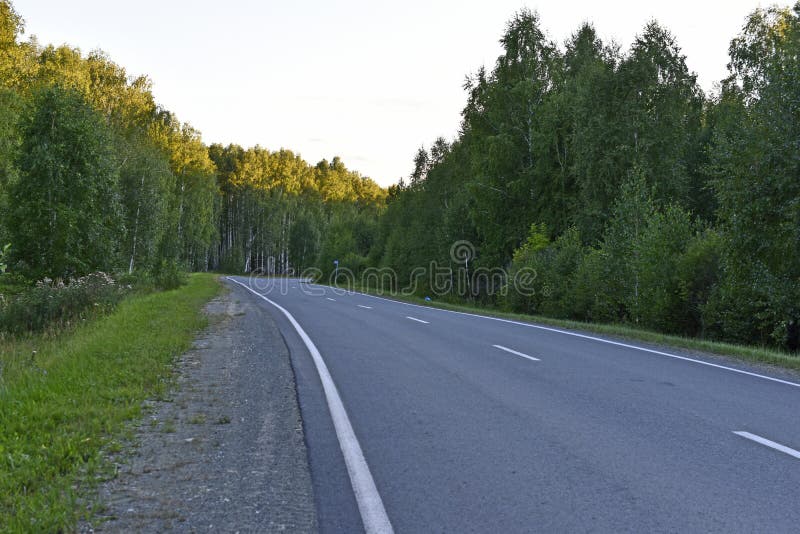 Asphalt High-speed Highway in the Forest in Summer Stock Photo - Image ...