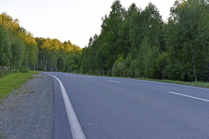 Asphalt High-speed Highway in the Forest in Summer Stock Image - Image ...