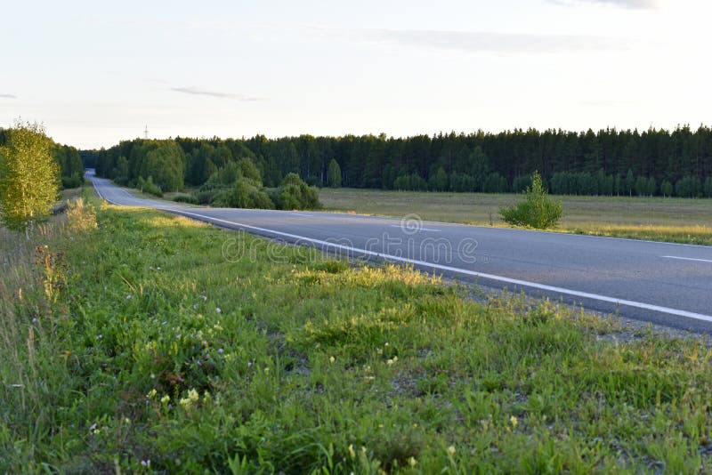 Asphalt High-speed Highway in the Forest in Summer Stock Photo - Image ...