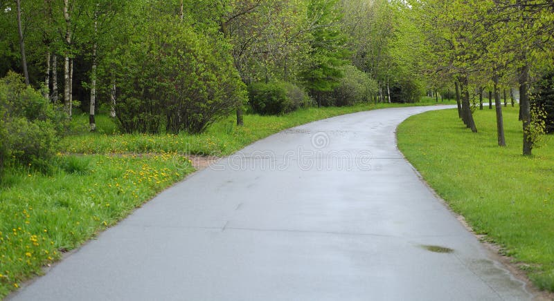 Asphalt Park Pedestrian Walkway in the Summer Park Stock Image - Image ...