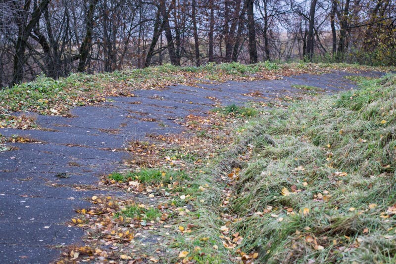 Asphalt Path in the Autumn Park Daytime Stock Image - Image of outdoors ...
