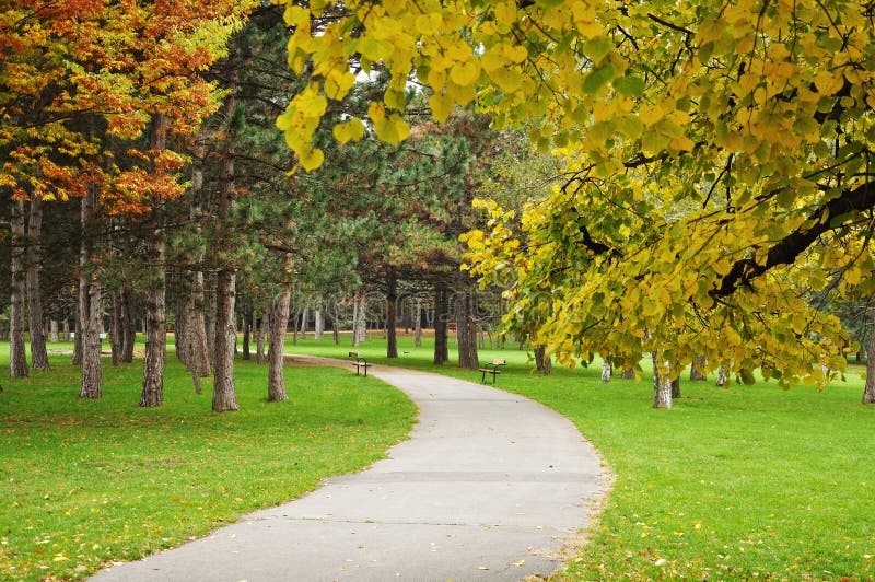 Asphalt Path in Autumn Park Stock Photo - Image of grass, leaf: 40153968