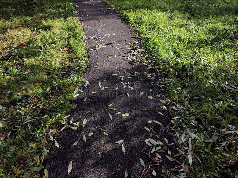 A Dark Gray Asphalt Jogging Path in an Autumn Park among Grass with ...