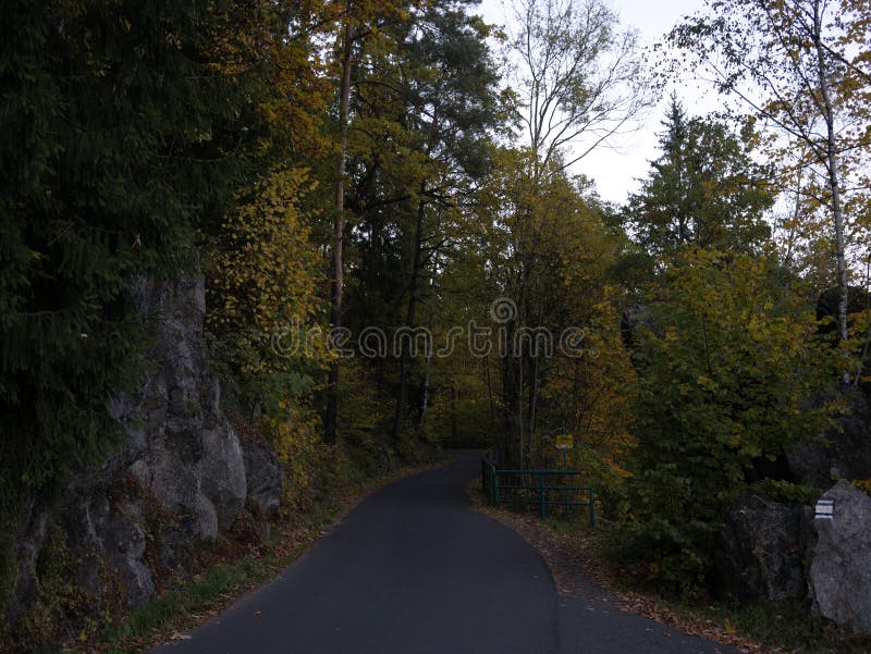 Asphalt Path in the Forest Mountains Trees Stock Photo - Image of ...