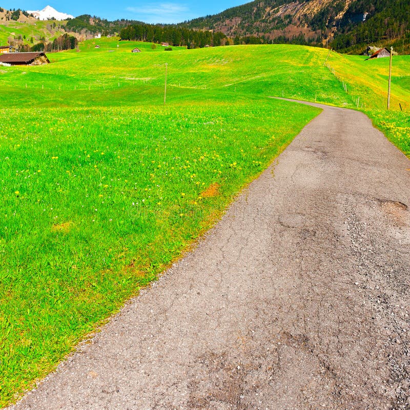 Asphalt Path stock image. Image of farm, cultivated, farmhouse - 87662047