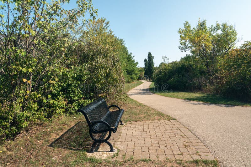 Asphalt path in the park stock image. Image of asphalt - 258825551