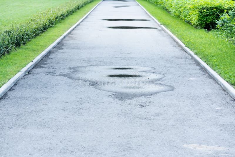 An Asphalt Path in the Park Stretching into the Distance with Puddles ...