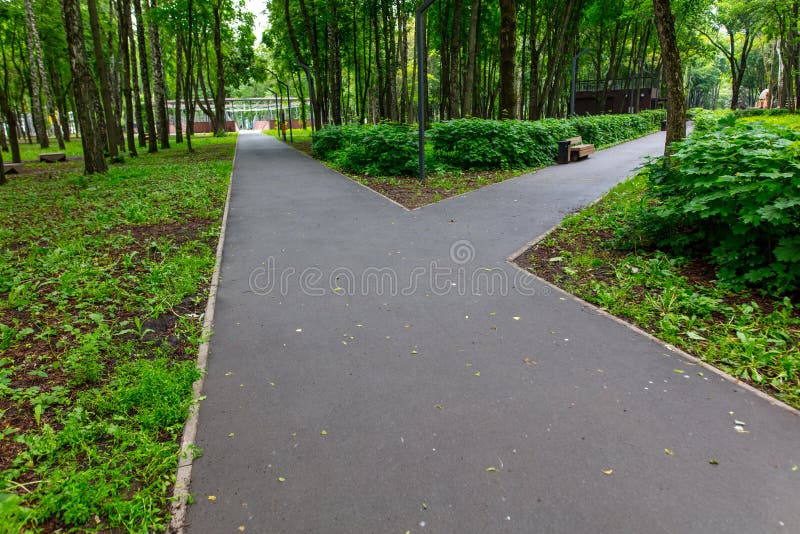 Asphalt path in the park stock photo. Image of restriction - 225656242
