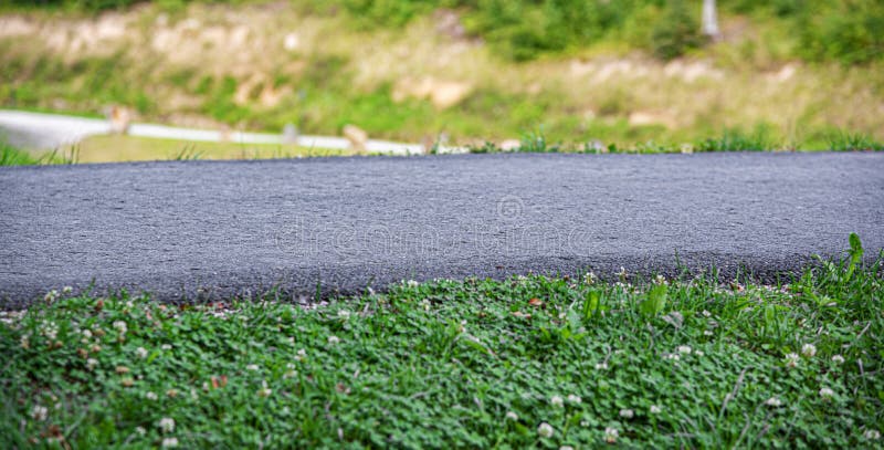 Asphalt path in the park. stock photo. Image of land - 258727682