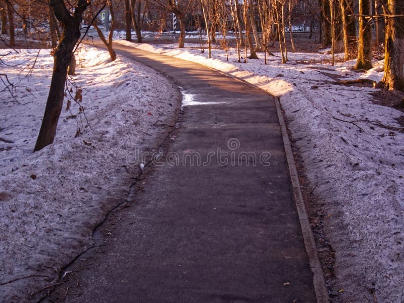 Asphalt Path in the Park in Winter Stock Image - Image of green ...