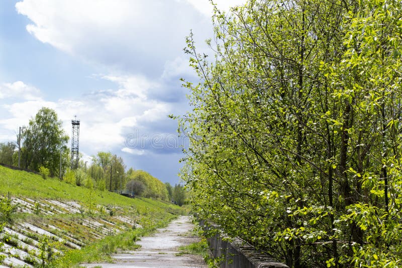 Asphalt Pathway among Green Trees Stock Photo - Image of backdrop ...