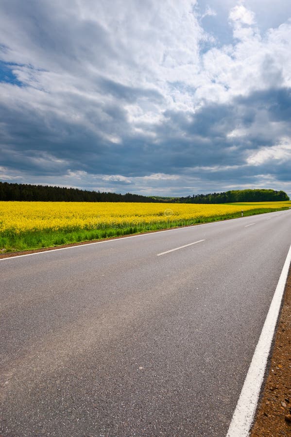 Asphalt Road stock photo. Image of german, growth, alfalfa - 27281626