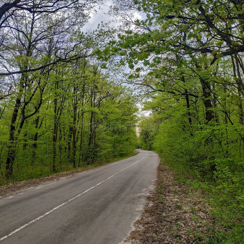 An Asphalt Road with an Applied Axial Line Stock Image - Image of ...