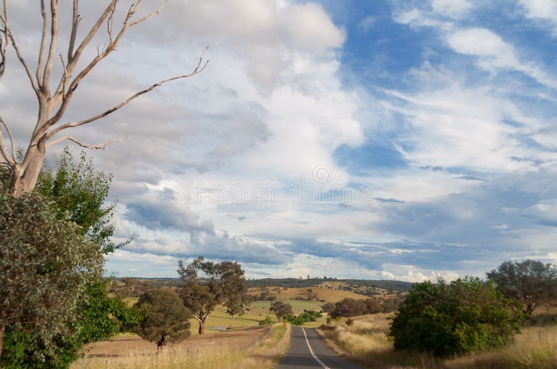 Asphalt Road in the Australian Countryside with Fields and Pastures ...