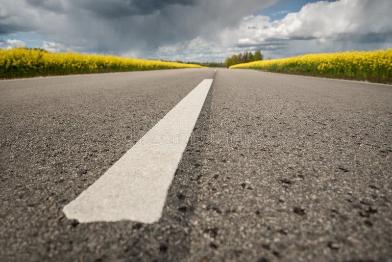 Road beatween fields stock image. Image of meadow, agriculture - 187482383