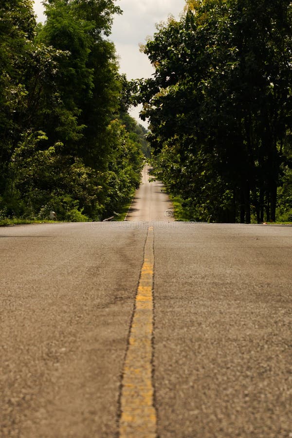 The Asphalt Road on Both Sides of the Road. Stock Image - Image of ...