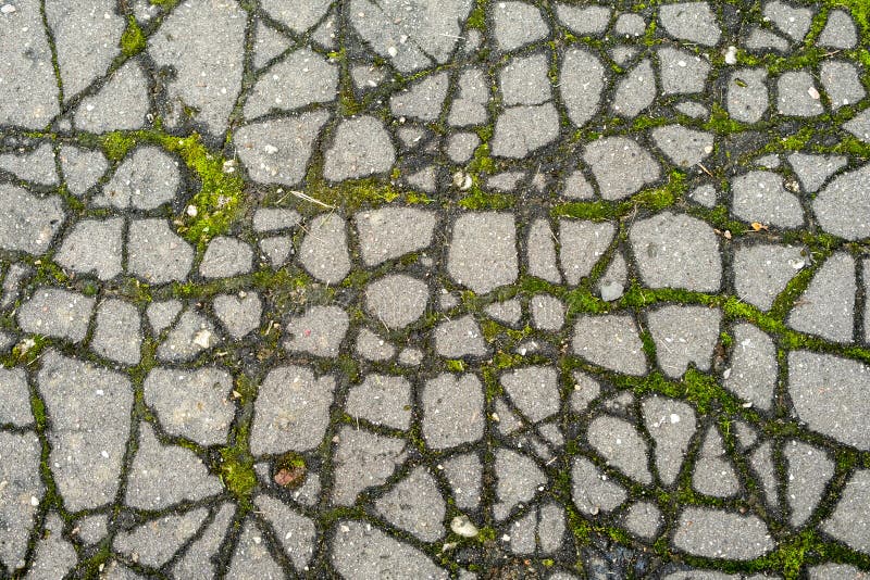 The Asphalt Road is Broken. Cracked Pavement Texture Stock Image ...