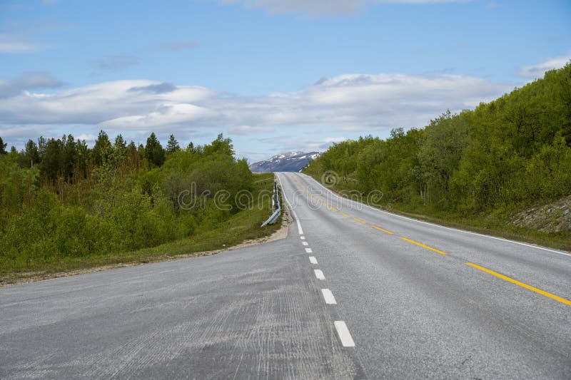 Asphalt Road in Coniferous Forest Stock Photo - Image of travel, forest ...