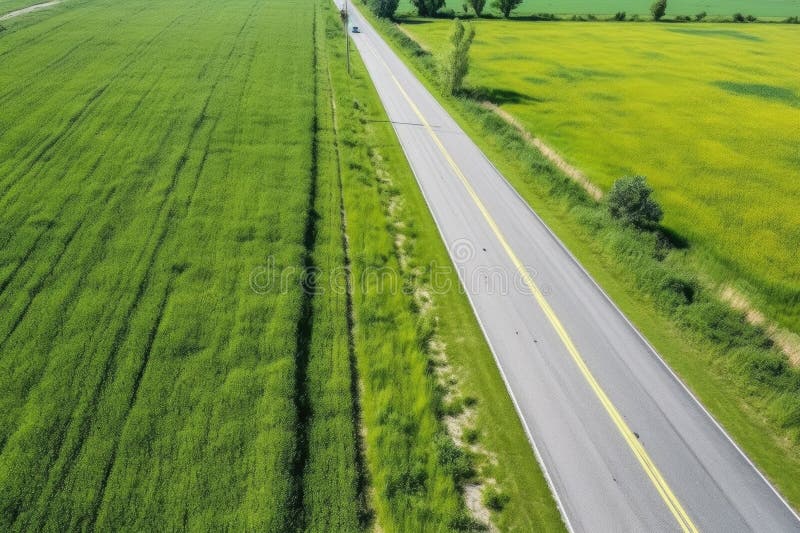 Asphalt Road Covered by Roadside Grass Stock Photo - Image of scene ...