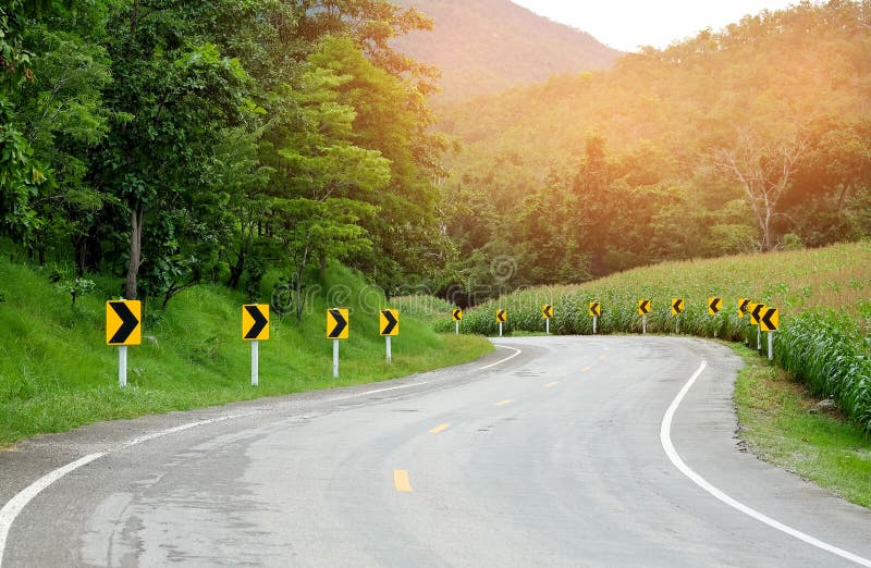 Asphalt Road Curved Side of a Cornfield. Stock Photo - Image of grass ...