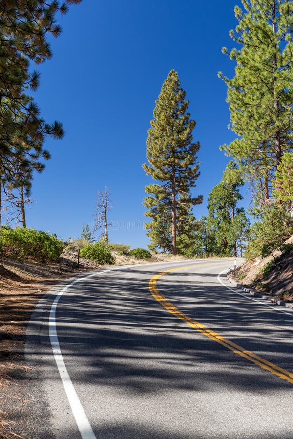 Asphalt Road through Forest Stock Photo - Image of forest, asphalt ...