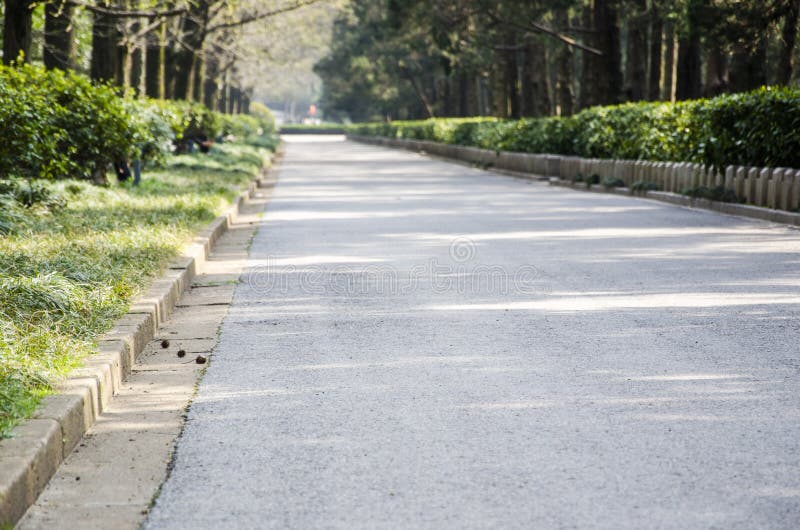 Bituminous macadam stock image. Image of forest, distance - 113113789