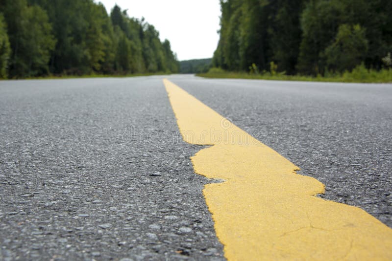 Asphalt Road in the Forest. Yellow Markings on the Track Stock Photo ...